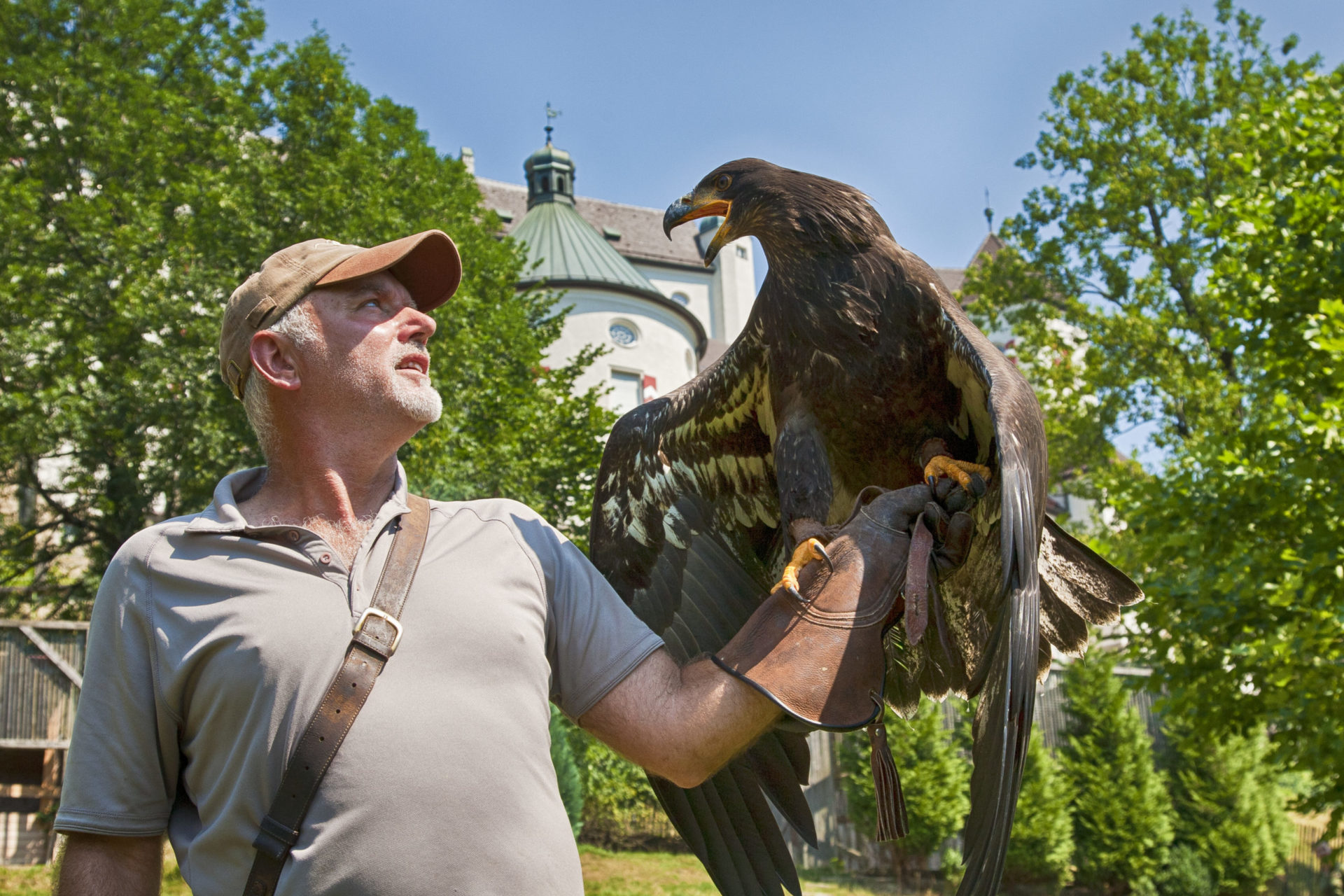 Falknerei Hohenaschau Prien am Chiemsee Oberbayern