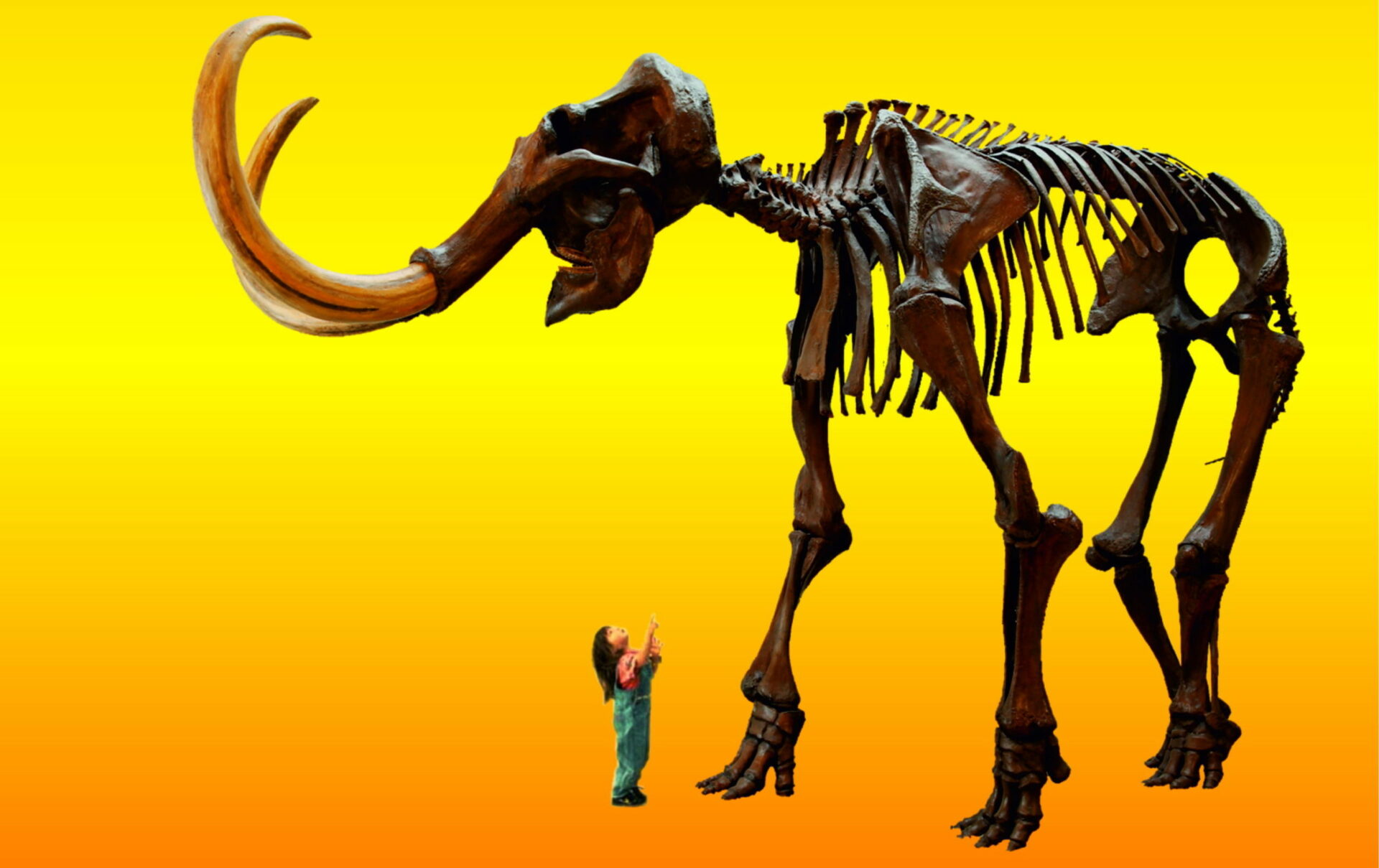 Naturkundemuseum Mammut-Museum Siegsdorf Prien am Chiemsee Oberbayern